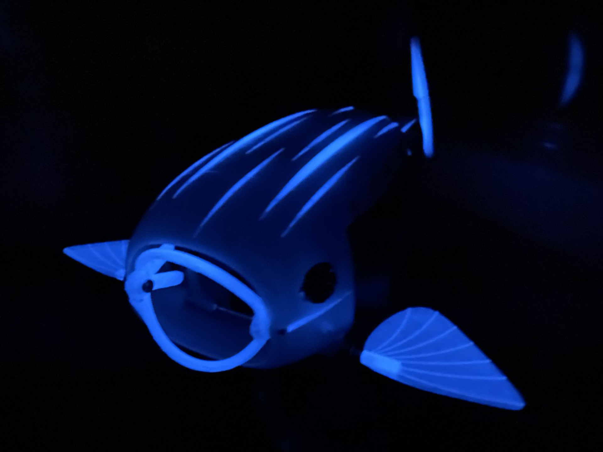 Robo-fish: Robot Ikan Pemakan Plastik Hadir untuk Bersihkan Perairan ...