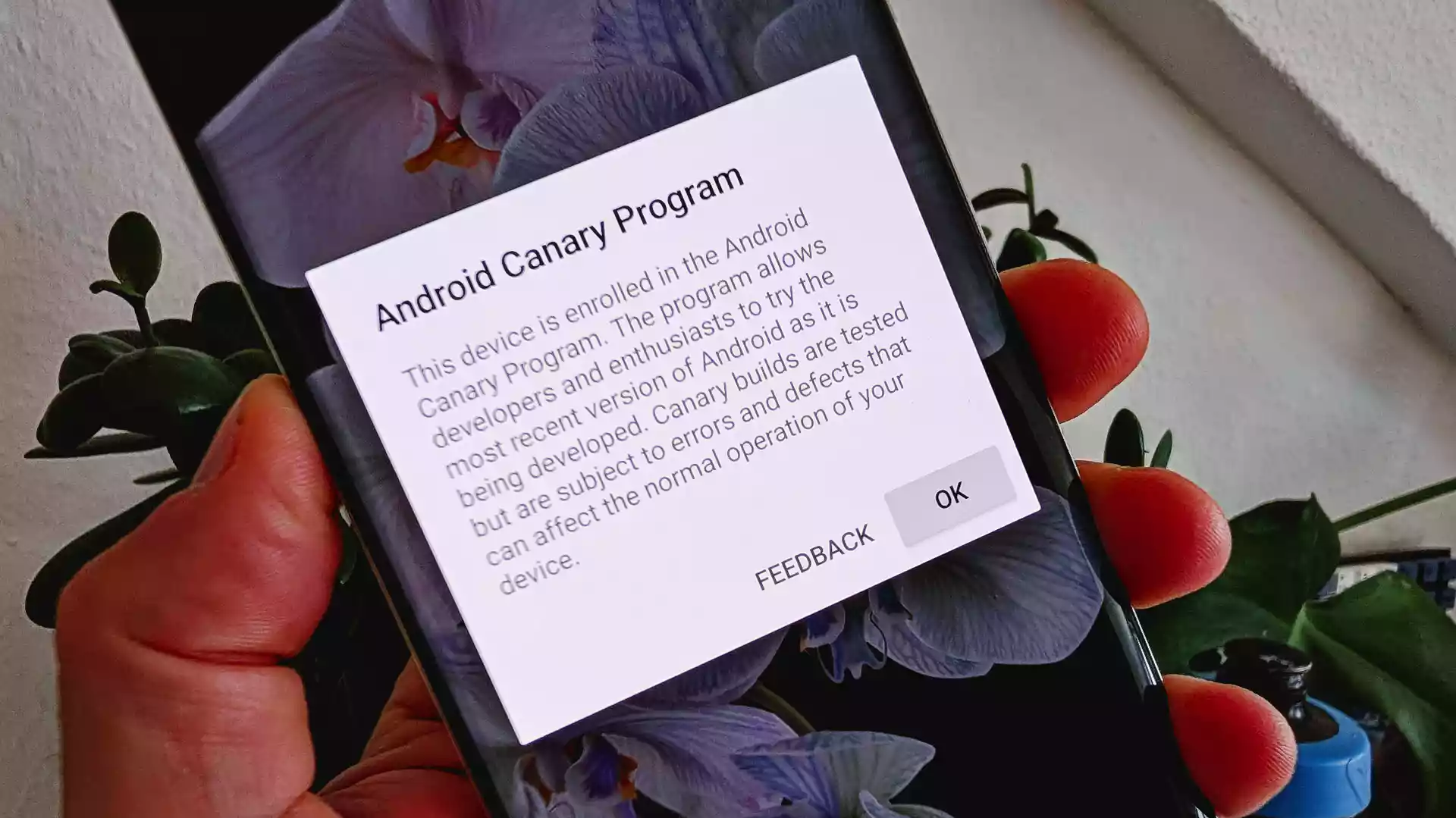Android Canary Channel Resmi Dirilis: Akses Fitur Terbaru Android ...